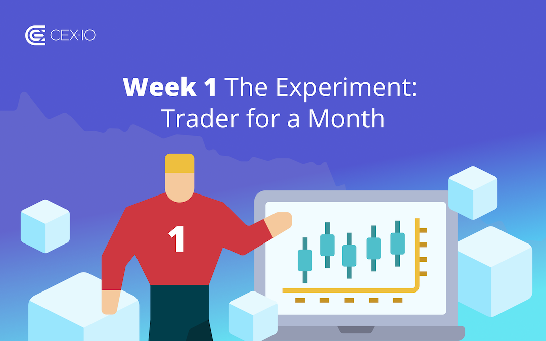 Week 1: The Most Real Trading Experiment, Trader for a Month